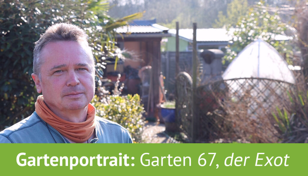 Gartenportrait - Garten 67, der Exot - KGV Am Schellenberg e.V.